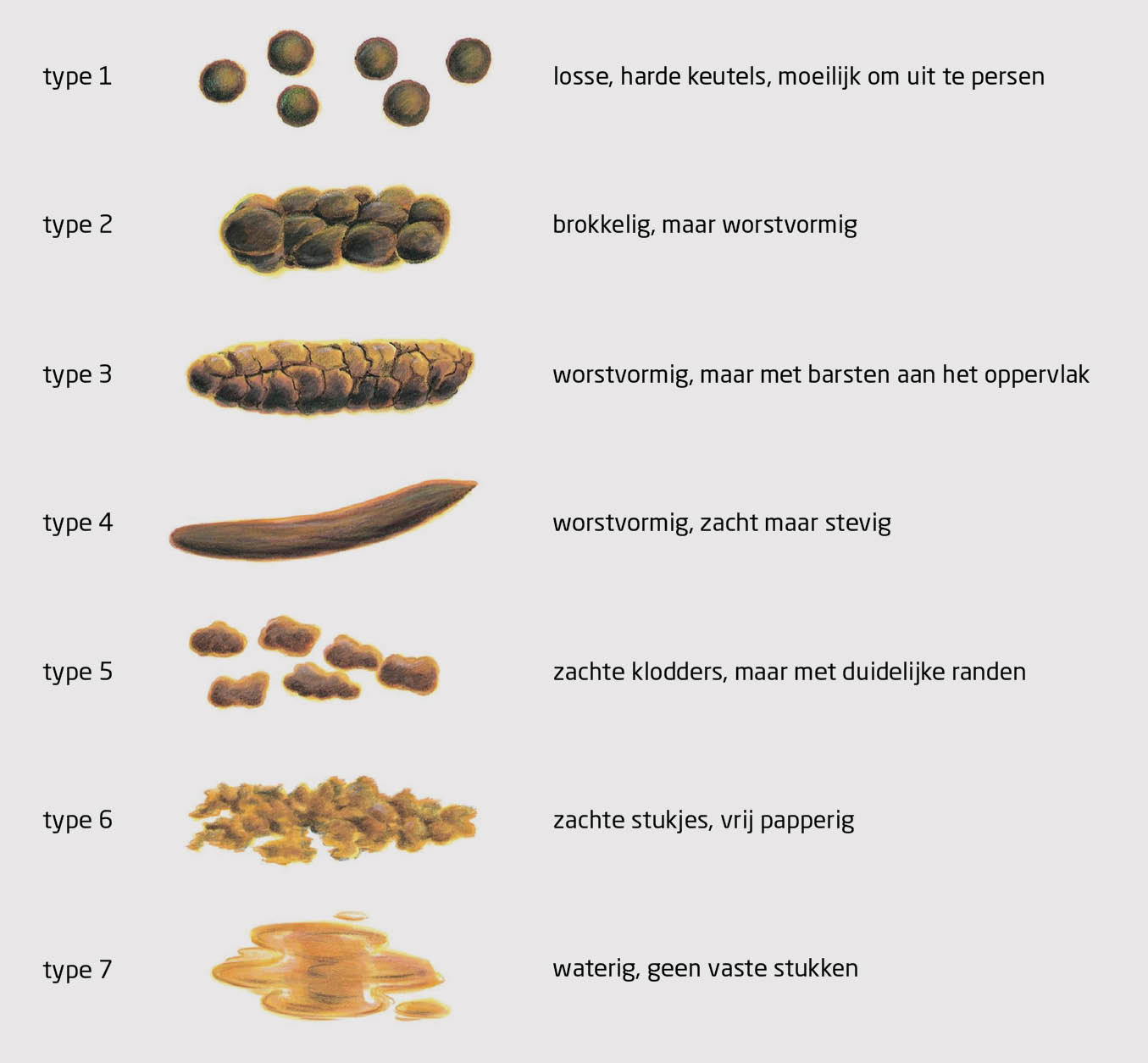 Obstipatie | Nederlands Tijdschrift voor Geneeskunde