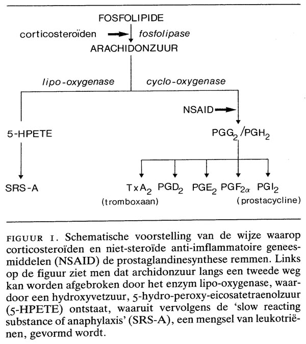 Acute nierfunctiestoornissen door niet-steroïde anti-inflammatoire ...