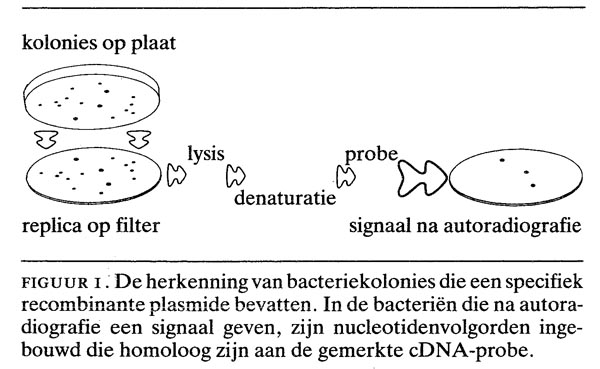 Methoden van de moleculaire genetica | NTvG