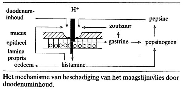 Refluxgastritis | NTVG