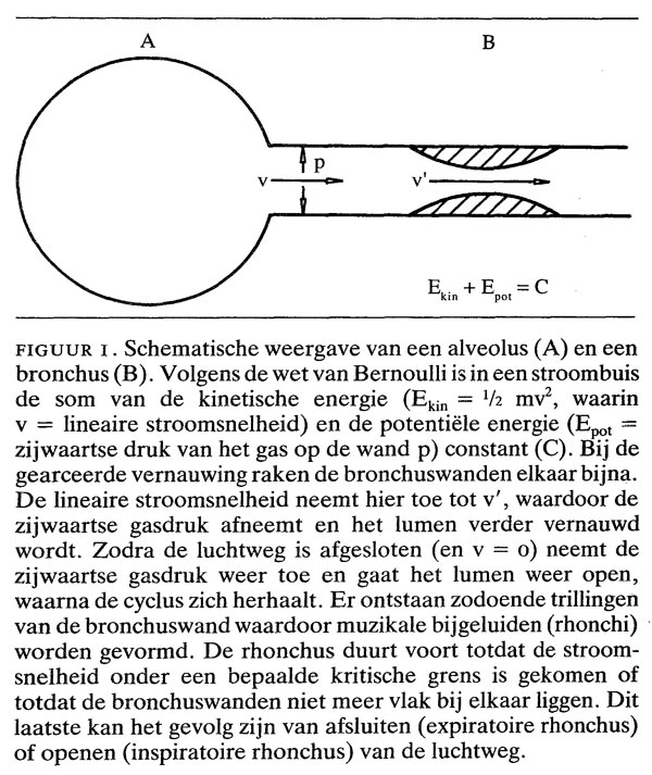 Rhonchi en crepitaties: nomenclatuur en interpretatie | Nederlands ...