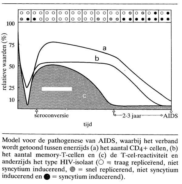 Immunologie en virologie van de HIV-infectie: nieuwe inzichten in de ...