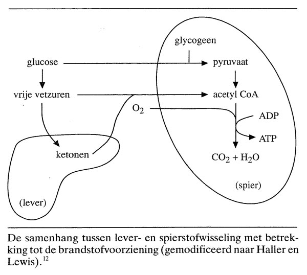 Lever en lichamelijke inspanning | NTVG