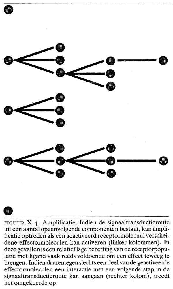 Celbiologie in medisch perspectief. X. Signaaltransductie | NTvG