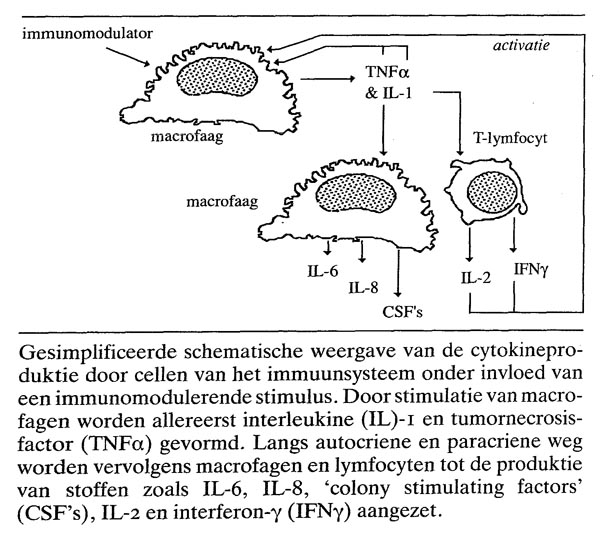 De therapeutische mogelijkheden van cytokinen en groeifactoren bij ...