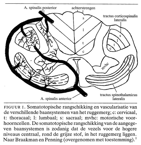 Het centrale-ruggemergsyndroom | Nederlands Tijdschrift voor Geneeskunde