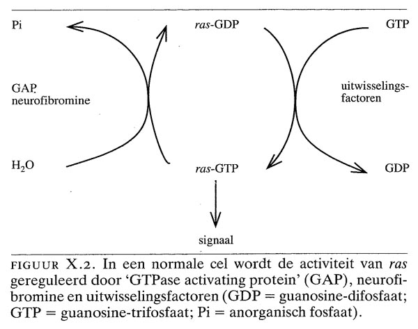 Cel en ziekte. X. Stoornissen in de signaaltransductie: dysregulatie ...