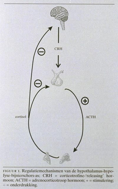 Syndroom van Cushing; optimaliseren van de diagnostiek | Nederlands ...