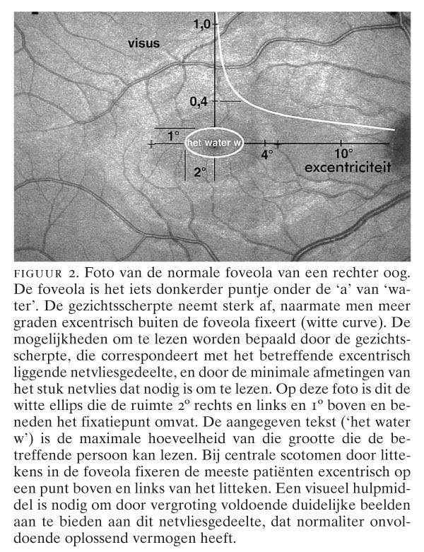 Visuele rehabilitatie van patiënten met ouderdomsmaculadegeneratie ...