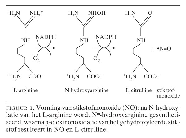 Stikstofmonoxide en astma | NTvG