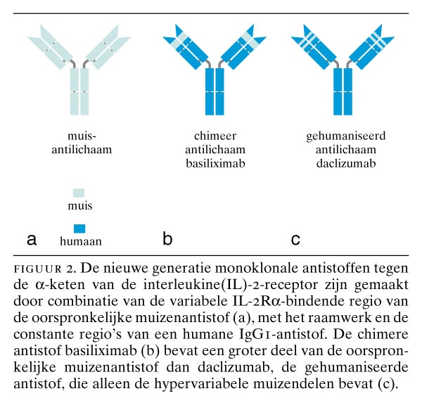 Daclizumab en basiliximab: monoklonale muis-mensantistoffen met ...