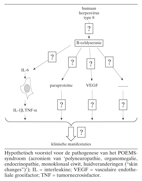 Een man met plasmaceldyscrasie en polyneuropathie door het POEMS ...