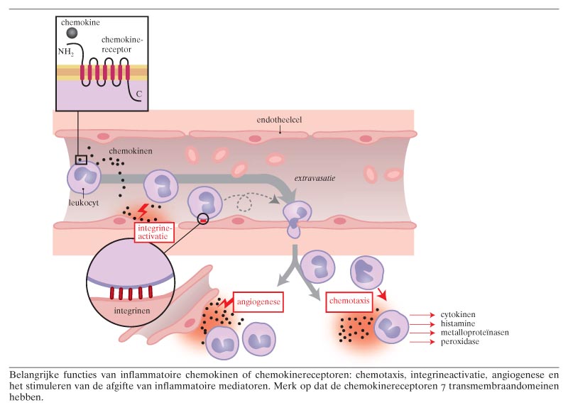 Extravasatie Diagram
