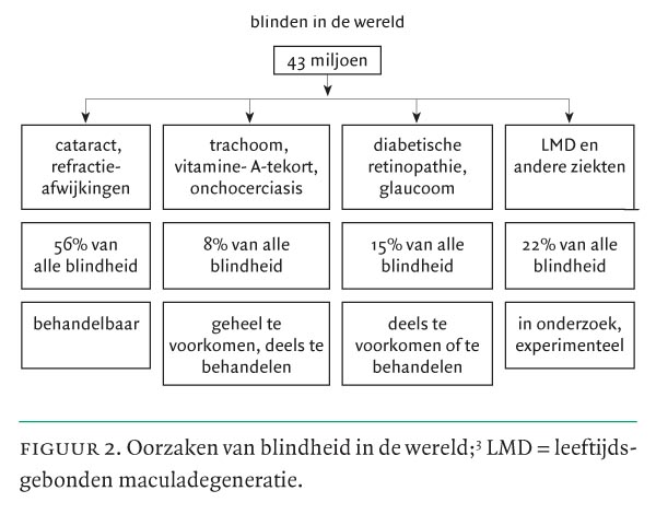 Vermijdbare slechtziendheid in Nederland: het project 'Vision 2020 ...