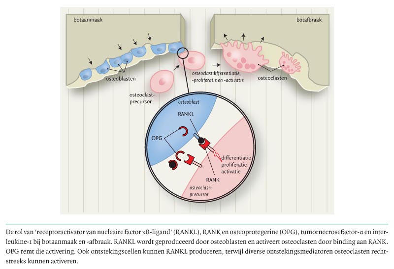 Klinische implicaties van nieuwe inzichten in de regulatie van ...
