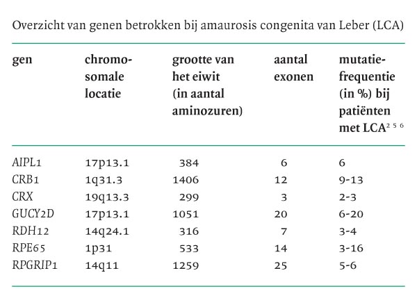 Van gen naar ziekte; amaurosis congenita van Leber | Nederlands ...