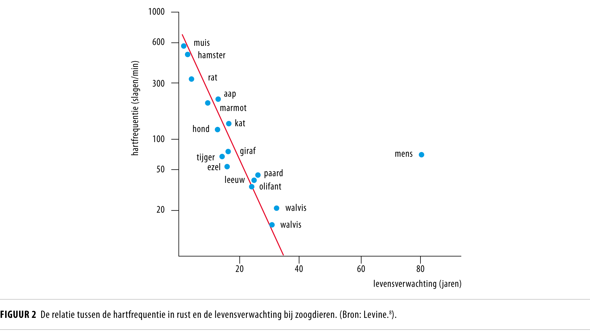 De hartfrequentie in rust | Nederlands Tijdschrift voor Geneeskunde