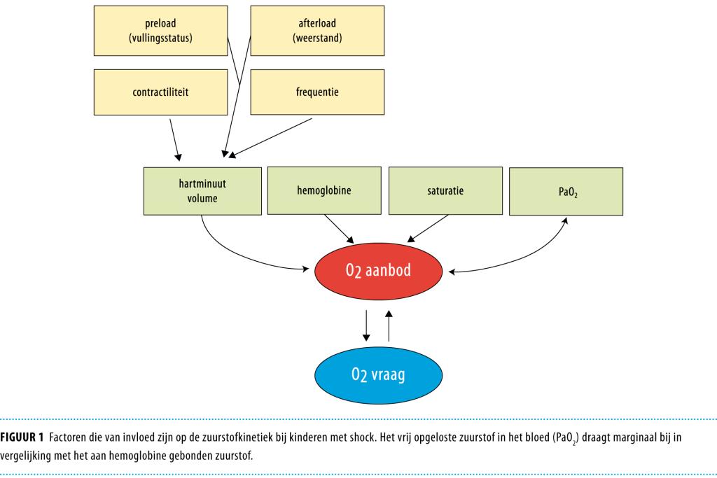 Primaire opvang en behandeling van septische shock op de kinderleeftijd ...