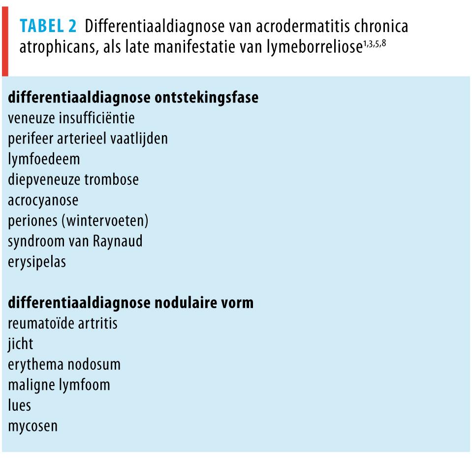 Acrodermatitis chronica atrophicans: late manifestatie van ...