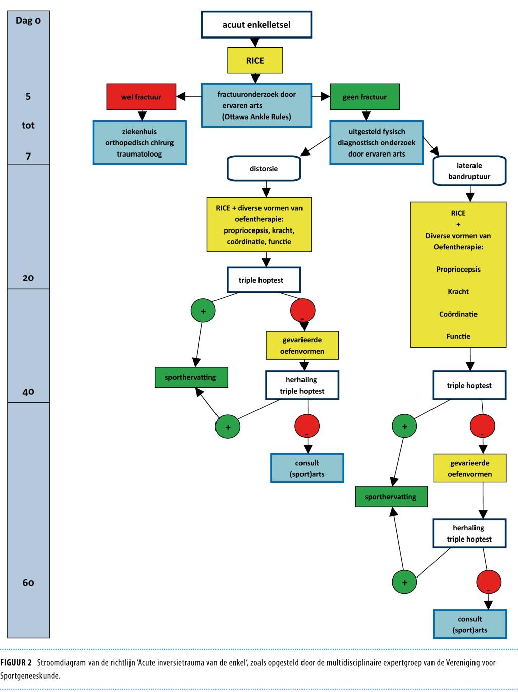 Richtlijn voor diagnostiek en behandeling van het acute inversietrauma ...