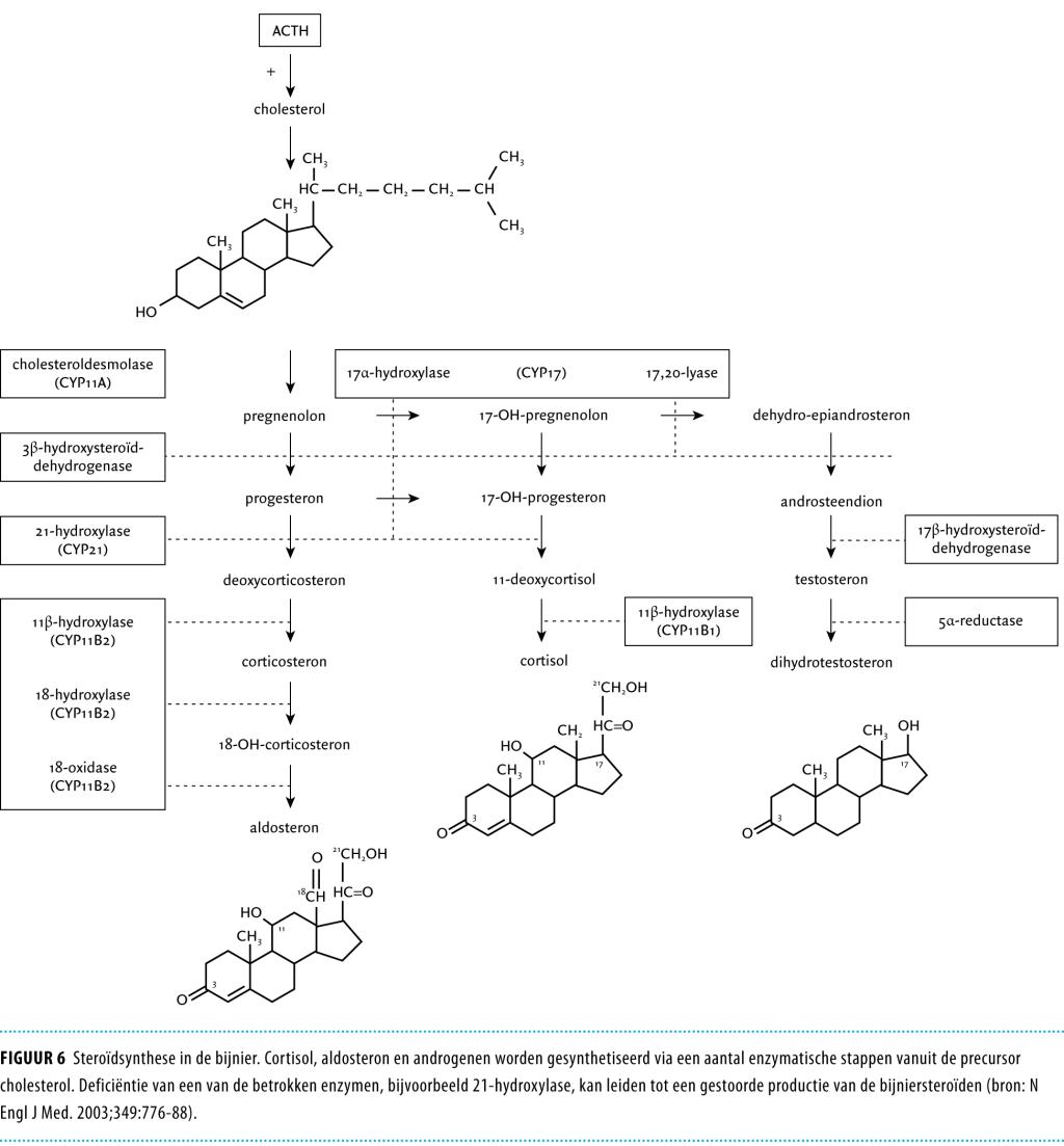 Premature pubarche is niet altijd onschuldig | NTVG