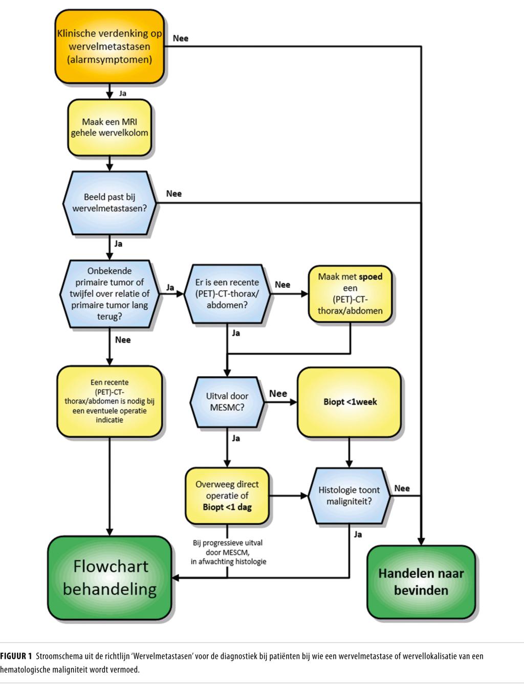 Nieuwe richtlijn ‘Wervelmetastasen’ | NTvG