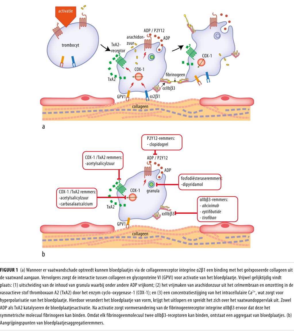 Bloedplaatjesfunctietesten | NTvG