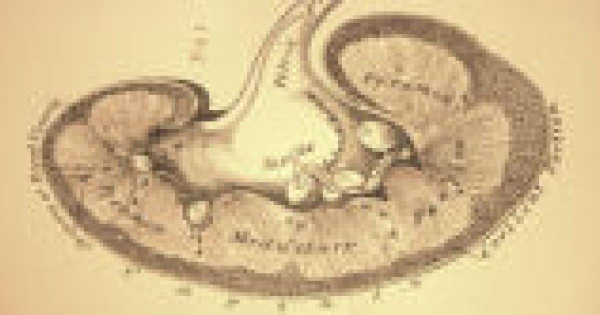 Meeste Europese kinderen met nierfalen krijgen nieuwe nier | NTVG