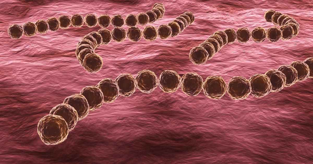 Invasieve groep A-streptokokkeninfecties in Nederland | NTVG