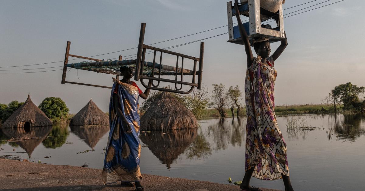 Scheve verdeling oorzaak en gevolgen klimaatcrisis | NTVG